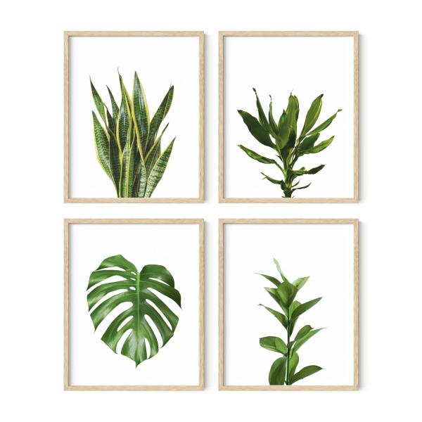 ・葉の壁の装飾: このHaus and Huesの植物の壁アートを掛けて、あなたの空間に自然にインスパイアされた体験を与え、新鮮さと禅のようなムードを吹き込みましょう。 このウォールアートと植物の装飾4点セットは、リビングルーム、ベッドルー...