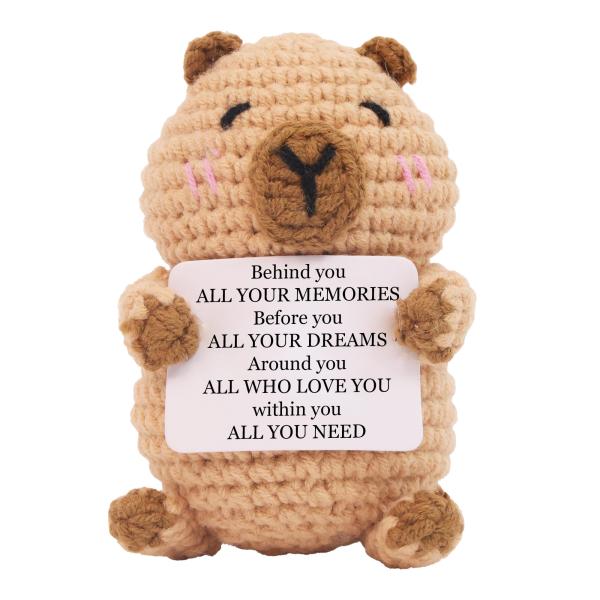 ・Package Content: You will receive 1 knitted positive capybara and a card printed with encouraging words.This card is af...