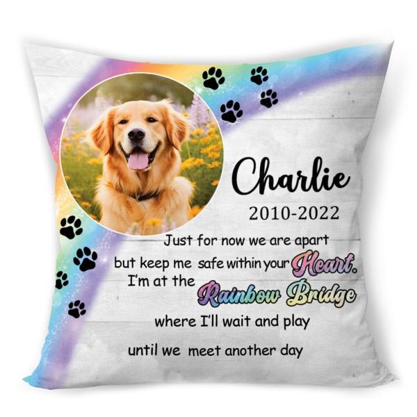 ・Pet Memorial Gifts for Dogs: A personalized pillow for pet lovers is a thoughtful and unique gift that any pet parent w...
