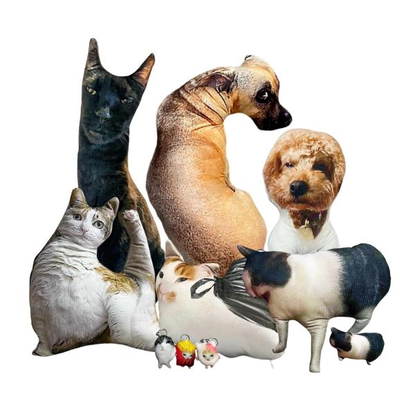 ・Fun ＆ Whimsical:Celebrate your pet's unique appearance with a custom pillow that highlights their quirky features. Idea...