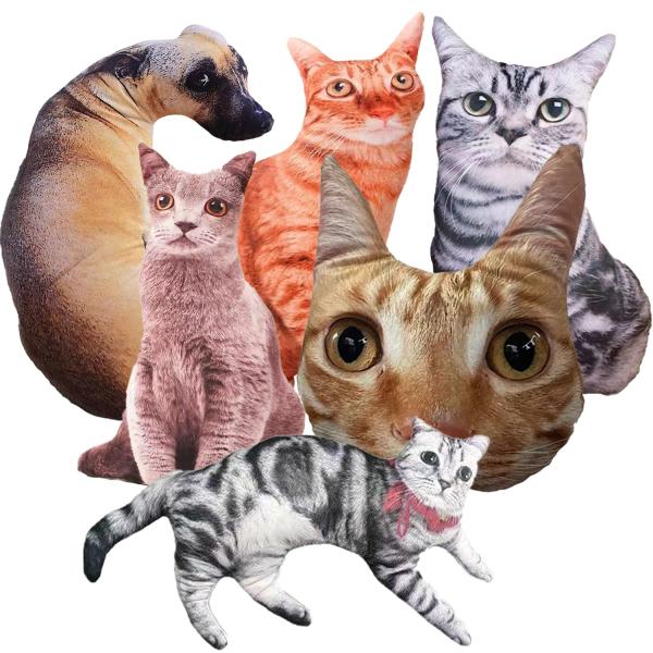 ・Custom ugly pet pillow: very funny and interesting customized pillow, imagine the scene when you give it to your friend...