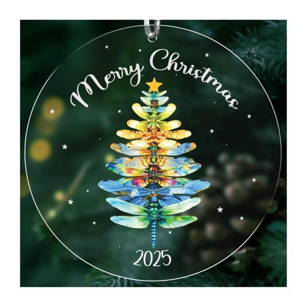 ・? Inspirational Dragonfly Gifts for Women - Celebrate strength and transformation with this meaningful dragon fly gift ...