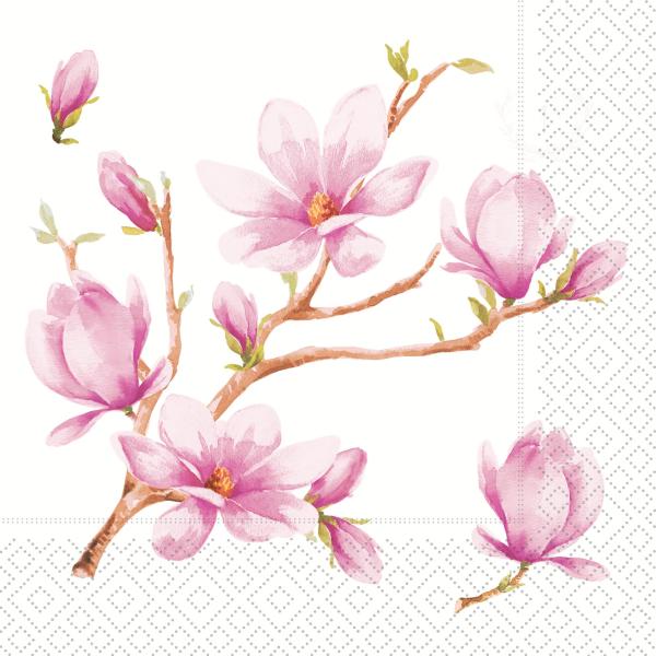・3-PLY PAPER NAPKINS Package of 20 premium quality paper napkins・FOR COCKTAIL PARTIES AND BEVERAGES Napkins measure 5 x ...