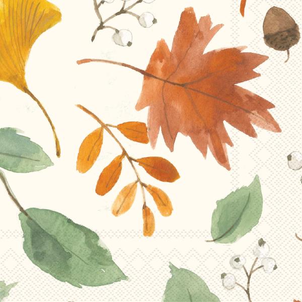 ・3-PLY PAPER NAPKINS Package of 20 premium quality paper napkins・FOR COCKTAIL PARTIES AND BEVERAGES Napkins measure 5 x ...