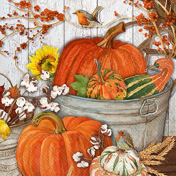 ・3-PLY PAPER NAPKINS Package of 20 premium quality paper napkins・FOR COCKTAIL PARTIES AND BEVERAGES Napkins measure 5 x ...