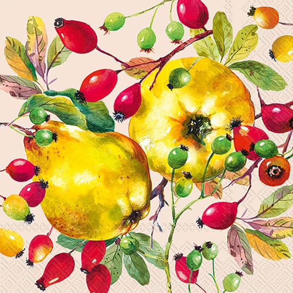 ・3-PLY PAPER NAPKINS Package of 20 premium quality paper napkins・FOR COCKTAIL PARTIES AND BEVERAGES Napkins measure 5 x ...