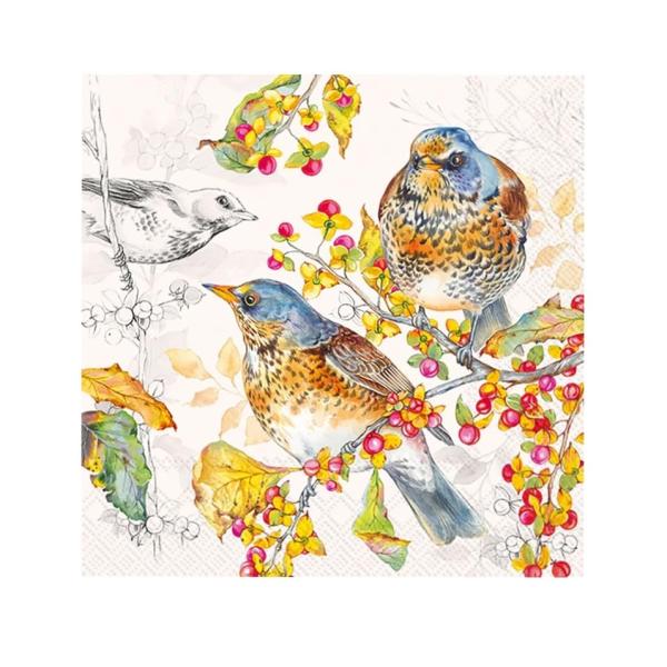 ・3-PLY PAPER NAPKINS Package of 20 premium quality paper napkins・FOR COCKTAIL PARTIES AND BEVERAGES Napkins measure 5 x ...