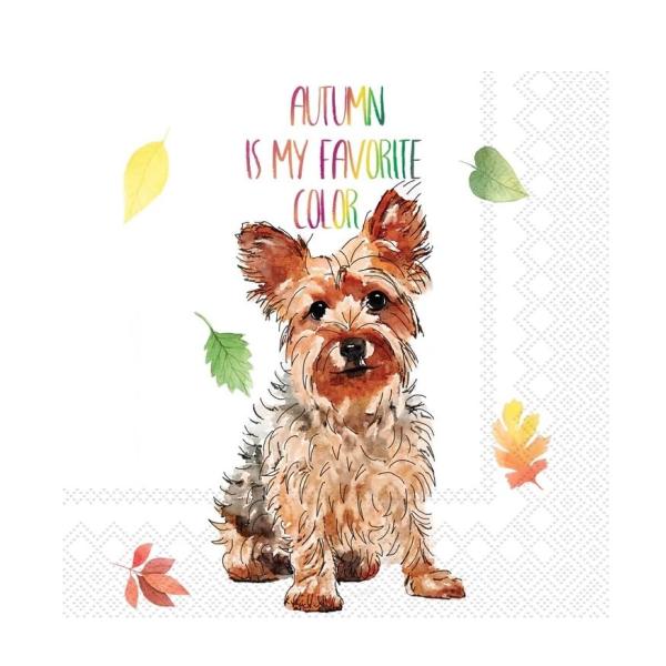 ・3-PLY PAPER NAPKINS Package of 20 premium quality paper napkins・FOR COCKTAIL PARTIES AND BEVERAGES Napkins measure 5 x ...