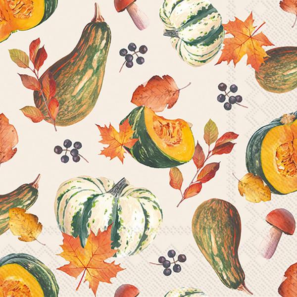 ・3-PLY PAPER NAPKINS Package of 20 premium quality paper napkins・FOR COCKTAIL PARTIES AND BEVERAGES Napkins measure 5 x ...