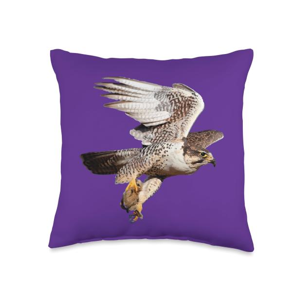 ・A beautiful digital image of a Saker Falcon in flight・Saker falcon. falconry. accessories for falconry lovers. lovers o...