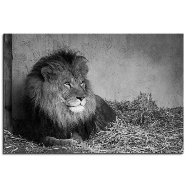 ・Product specifications: Contains a 500-piece puzzle and a poster. Finished size: 20.47" x 14.96"/52*38cm. Its rich colo...