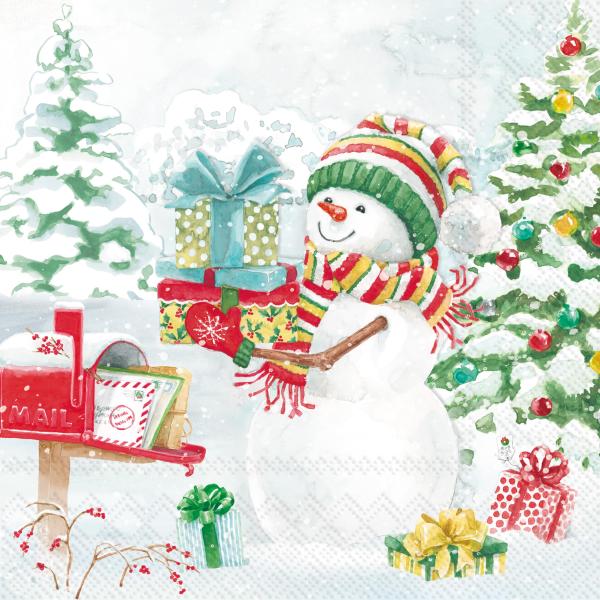 ・3-PLY PAPER NAPKINS Package of 20 premium quality paper napkins・FOR COCKTAIL PARTIES AND BEVERAGES Napkins measure 5 x ...