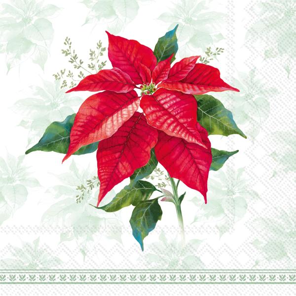・3-PLY PAPER NAPKINS Package of 20 premium quality paper napkins・FOR COCKTAIL PARTIES AND BEVERAGES Napkins measure 5 x ...