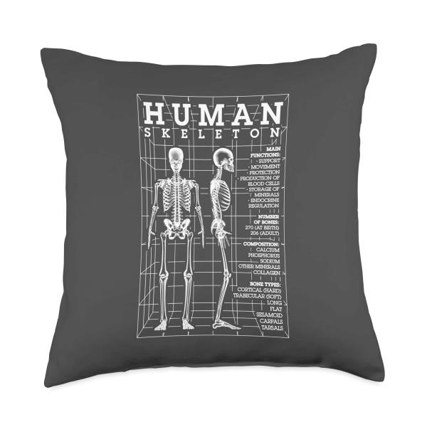 ・Inside all humans. Funny diagram of human skeleton structure, main functions, chemical composition and bone types scien...