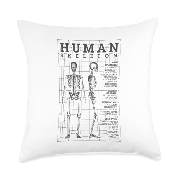 ・Inside all humans. Funny diagram of human skeleton structure, main functions, chemical composition and bone types scien...
