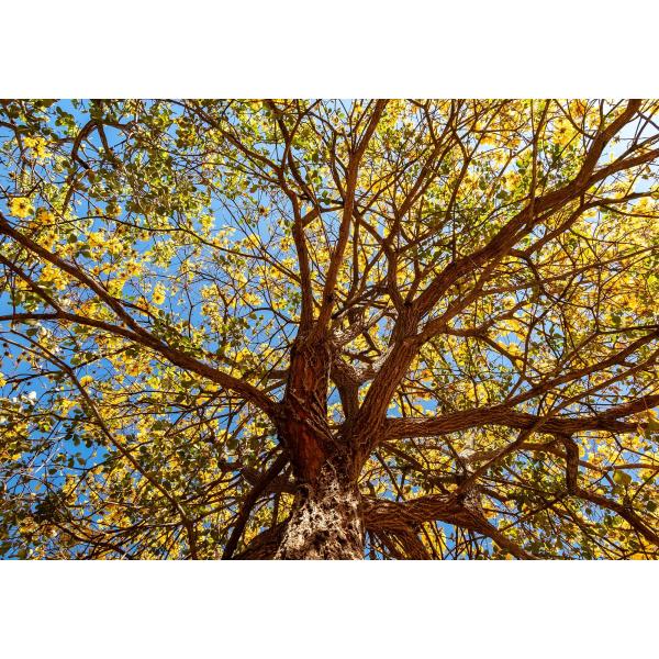 ・【PREMIUM QUALITY MATERIALS】: This Backdrop for Photography is Made of High Quality Polyester Fabric, Which is Softer, D...