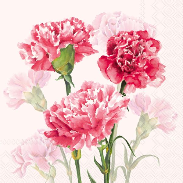 ・3-PLY PAPER NAPKINS Package of 20 premium quality paper napkins・FOR COCKTAIL PARTIES AND BEVERAGES Napkins measure 5 x ...