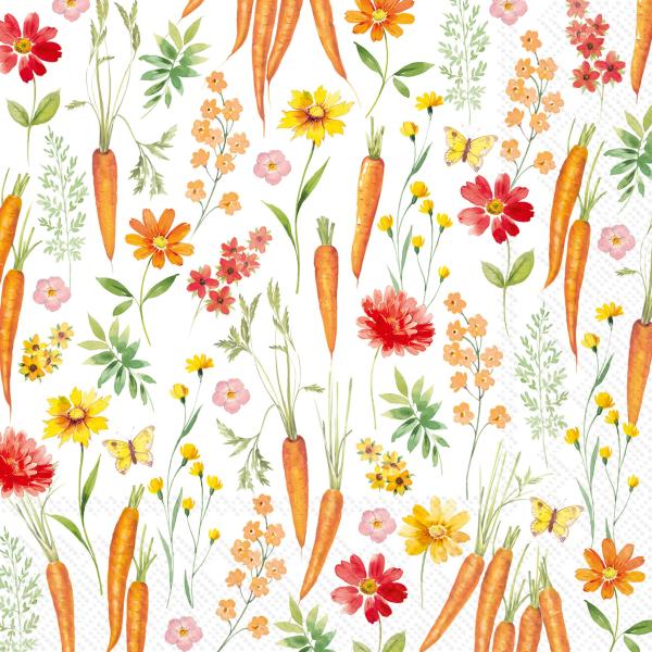 ・3-PLY PAPER NAPKINS Package of 20 premium quality paper napkins・FOR COCKTAIL PARTIES AND BEVERAGES Napkins measure 5 x ...