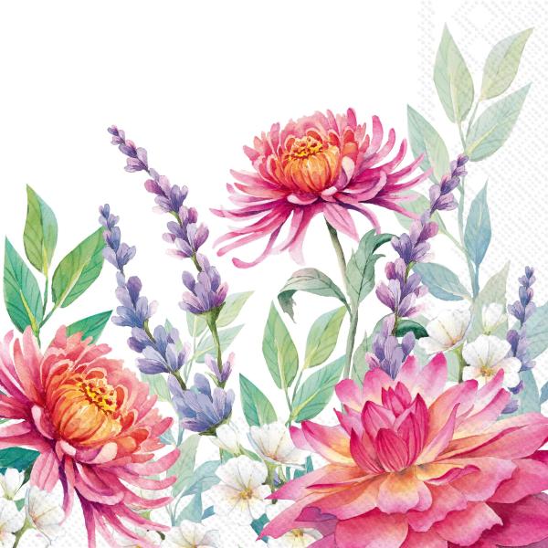 ・3-PLY PAPER NAPKINS Package of 20 premium quality paper napkins・FOR COCKTAIL PARTIES AND BEVERAGES Napkins measure 5 x ...