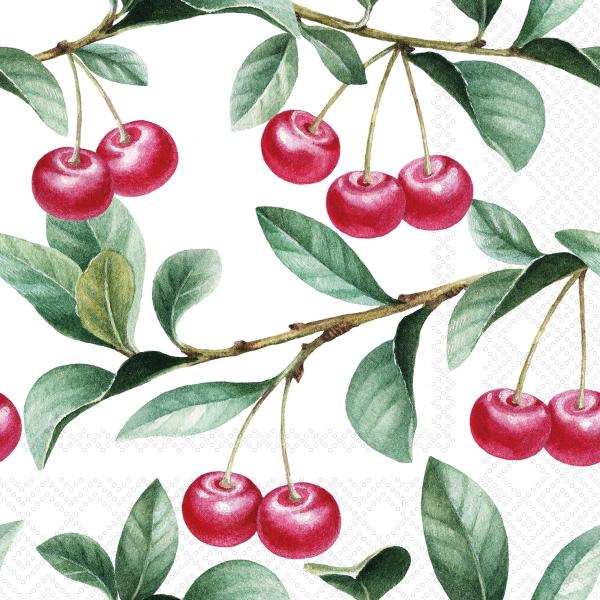 ・3-PLY PAPER NAPKINS Package of 20 premium quality paper napkins・FOR COCKTAIL PARTIES AND BEVERAGES Napkins measure 5 x ...