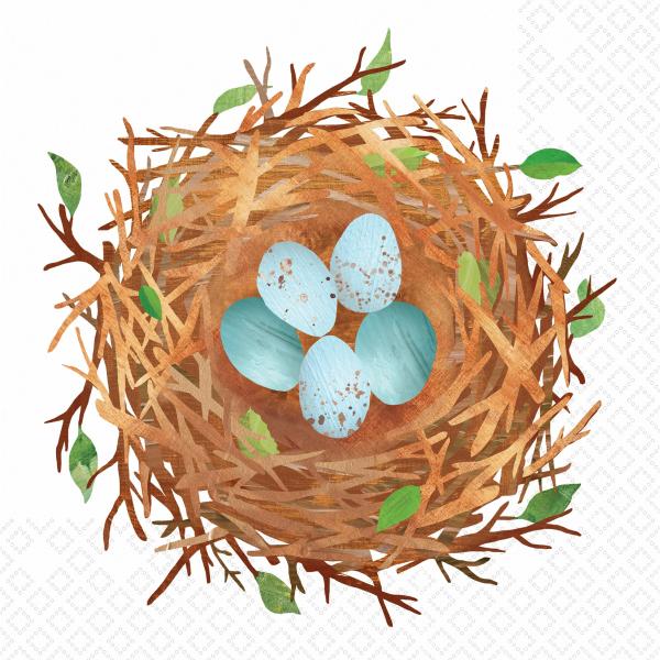 ・3-PLY PAPER NAPKINS Package of 20 premium quality paper napkins・FOR COCKTAIL PARTIES AND BEVERAGES Napkins measure 5 x ...