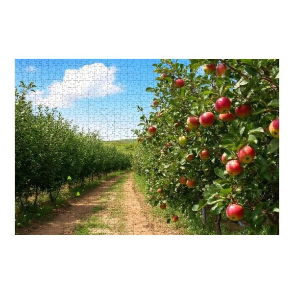 ・1000 Pieces Puzzle for Adults: Finished Size 75*50cm/29.5*19.7in. The packing box is sturdy and exquisite with a high-r...