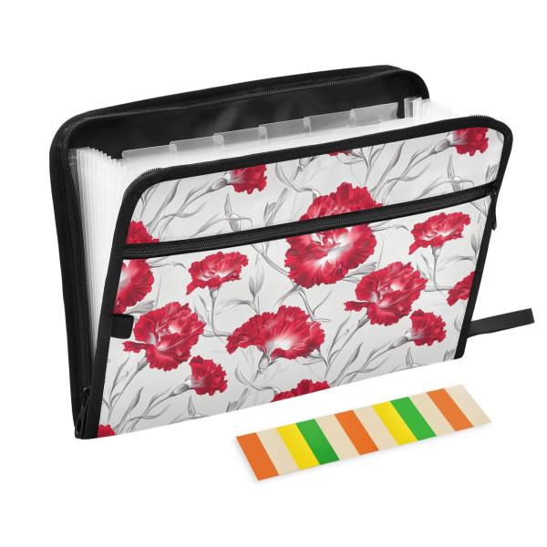 ・Large Capacity: Plastic Organizer size 14.1 x 10.6 x 0.7 inch/36 x 27 x 2 cm. This File Folder Organizer has 13 Pockets...