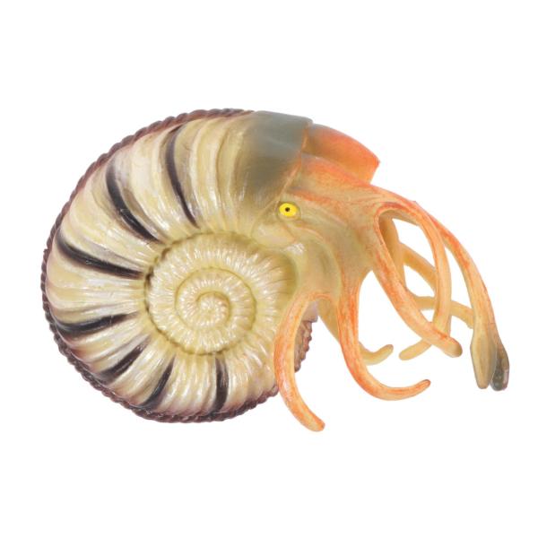 ・room decor:lightweight and portable, can play it anywhere and anytime, such as park, school, home, etc,nautilus・Sea ani...