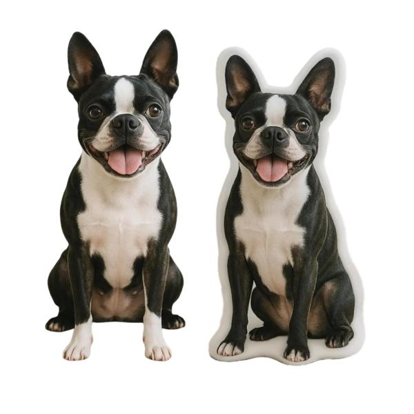 ・PERSONALIZED PET PHOTO THROW PILLOW: Custom pet-shaped pillow featuring duplex printing with your pet's photo on both s...