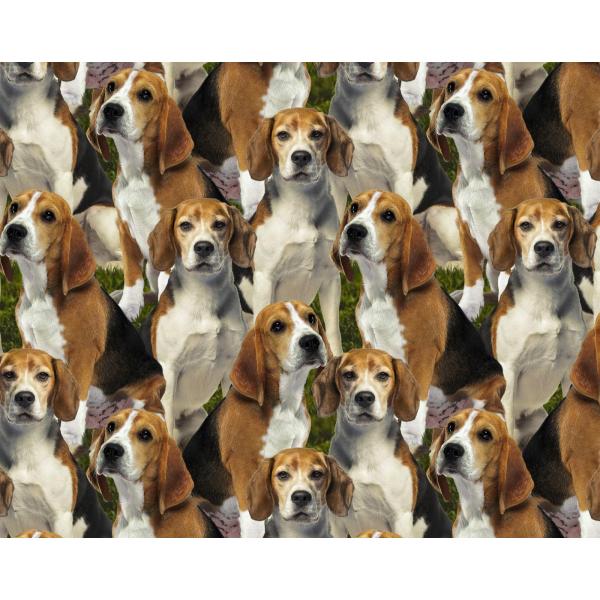 ・The Optimal Choice: If you are looking for a new piece of fabric with a chic design to craft something special, the Fla...