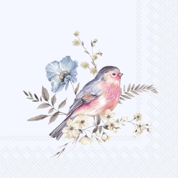 ・3-PLY PAPER NAPKINS Package of 20 premium quality paper napkins・FOR COCKTAIL PARTIES AND BEVERAGES Napkins measure 5 x ...