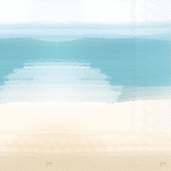 ・3-PLY PAPER NAPKINS Package of 20 premium quality paper napkins・FOR COCKTAIL PARTIES AND BEVERAGES Napkins measure 5 x ...