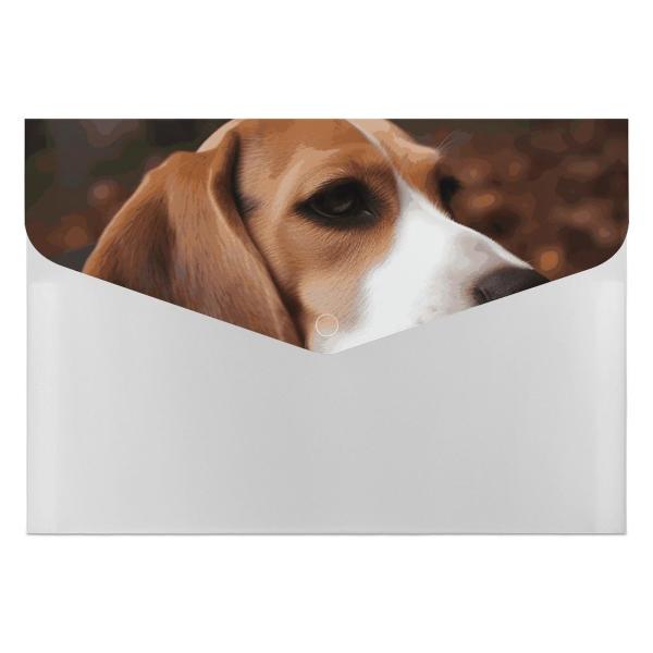 ・Premium Material: Moisture-proof Cute Beagle folders made of high-quality PP, this folder is sturdy and durable, making...