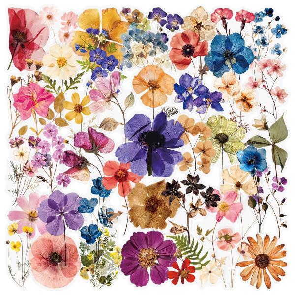 ・Waterproof Scrapbook Stickers: We use non-toxic vinyl materials to produce our transparent flora stickers. They are saf...