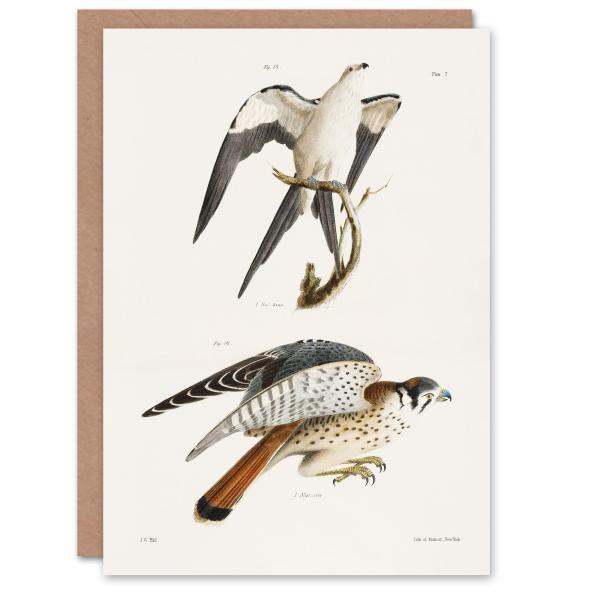 ・Size: This card measures 6.8 x 4.9 inches (17.5 x 12.5 cm).・Quality Cards: Our blank greeting cards are printed onto th...