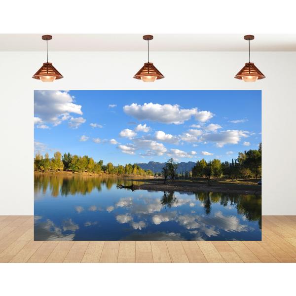 ・All Match Decorative Backdrop for Party Celebration Home Decor and Photography Background・Vibrant and Delicate Pattern ...