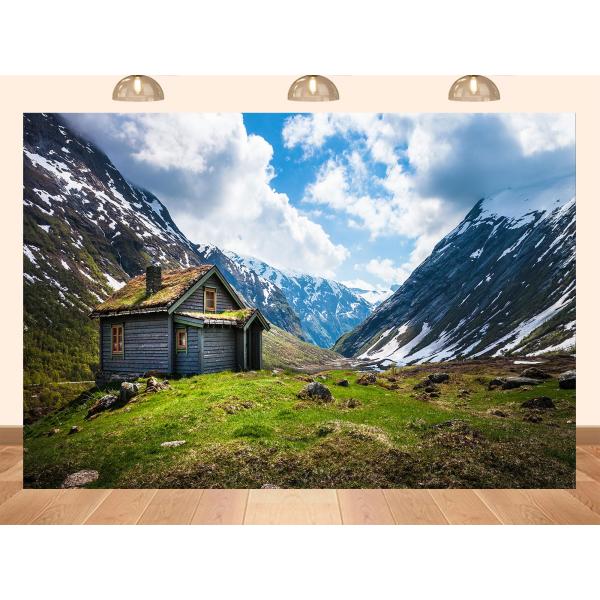 ・Durable ＆ Skin-Friendly Polyester Fabric: Our backdrops are made of premium thickened polyester, which outperforms viny...