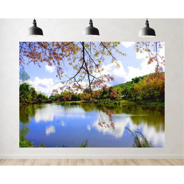 ・Quality Material: High-grade lightweight polyester fabric, moisture-proof and non-pilling, soft to touch yet sturdy. Wa...