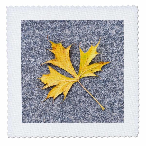 ・Square dimensions (in inches): 16 L x 16 W, image dimensions (in inches): 14 L x 14 W・100% poloyester; image is soft to...