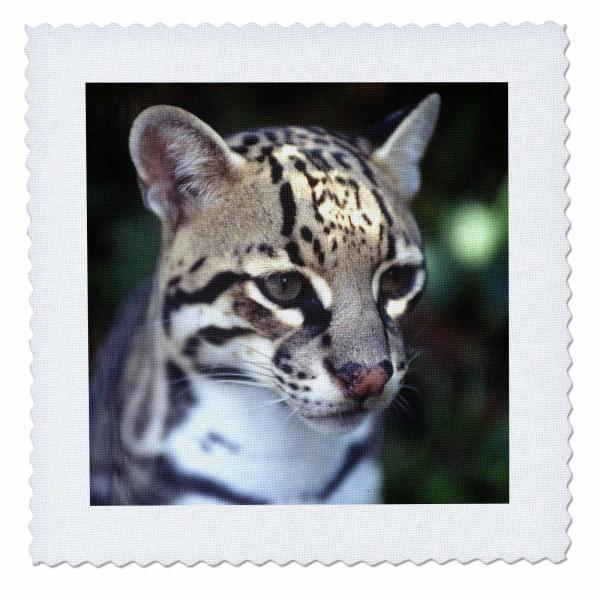 ・Square dimensions (in inches): 6 L x 6 W, image dimensions (in inches): 4 L x 4 W・100% poloyester; image is soft to tou...