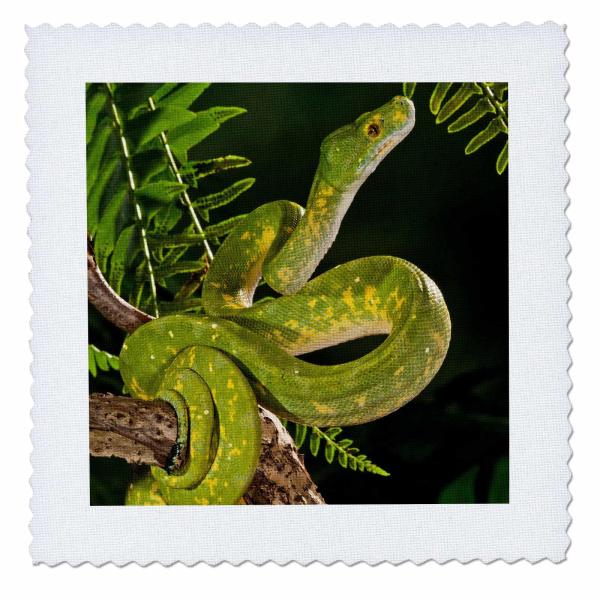 ・Square dimensions (in inches): 6 L x 6 W, image dimensions (in inches): 4 L x 4 W・100% poloyester; image is soft to tou...