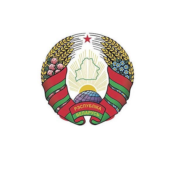商品名: ION Graphics ベラルーシャ国章ステッカー デカール ビニール ベラルーシ国旗 BLR x 5インチ バンパーロッカー ノートパソコン 窓 - あらゆる表面にくっつきます。 ION Graphics Belarusian...