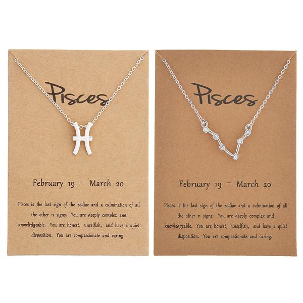 商品名:  Silver Pisces Zodiac Necklace Pisces Gift Zodiac Sign Necklace Astrology Pisces Birthday Gift Horoscope Constellat...