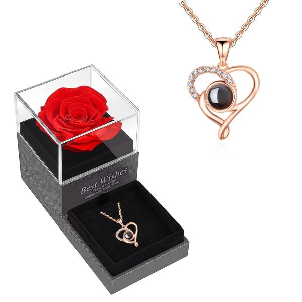 商品名: floenam バレンタインギフト 奥様 ガールフレンドに I Love You 100ヶ国語 ネックレス ギフト 誕生日 バレンタインギフト floenam Valentines Gifts for Her Wife Girlf...