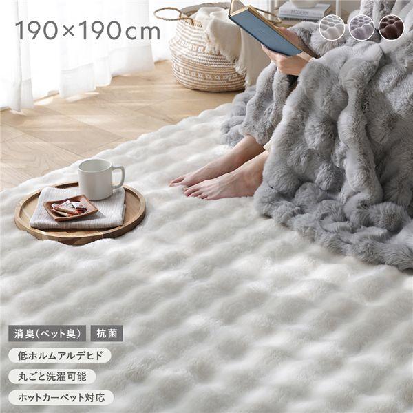 【商品名】 ふわもこ ラグ 約190×190cm 洗える 抗菌 消臭 ペット臭 滑り止め加工 ホットカーペット 床暖房可 ラグマット フロアマット 絨毯 hoho-roko ホホロコ 【ジャンル・特徴】 パイル ラグマット マット カーペッ...