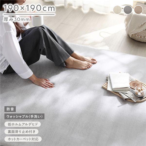 【商品名】 もっちり 防音 ラグ 約190×190cm ウレタン フランネル 滑り止め加工 手洗いOK ホットカーペット 床暖房可 ラグマット 絨毯 Molla モッラ 【ジャンル・特徴】 フロアマット ラグカーペット フロア マット カー...