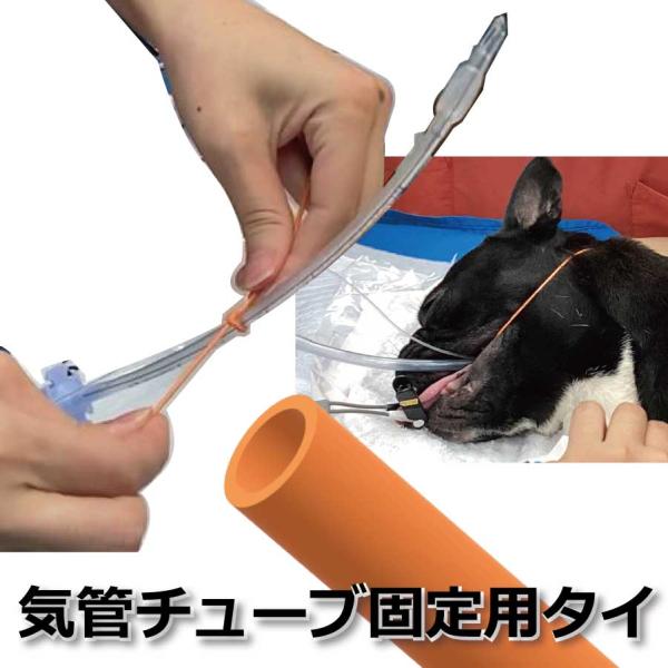 気管チューブ固定用タイ  ・気管チューブに対して滑ることなく、安定した固定ができます  ・ガーゼと違い、血液や唾液などを吸収しません  ・平滑性のある素材のため、毛にからみにくい  ・毛の色と混同しないよう、オレンジ色を採用しました  ・長...