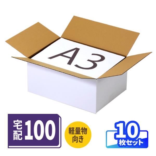 商品ID:1954商品名:【宅配100サイズ】A3用紙対応 軽量物用ダンボール箱(白)内寸法(mm):440×310×1983辺外寸合計:99 cm紙質（強度）:C5フルート:B/F厚さ:3 mm重量:403 g ●宅配100サイズ対応！A...