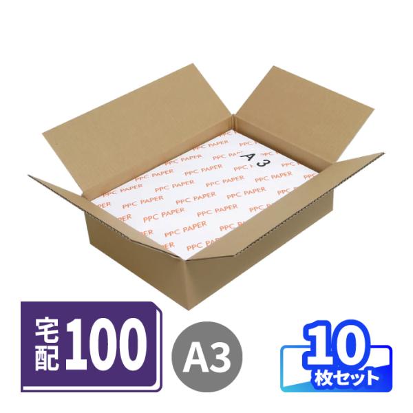 100サイズ対応の薄型ダンボール箱●深さ12cmの薄型100サイズ箱底面がA3用紙サイズで、深さ内寸12cmの薄型ダンボール箱。宅配100サイズとして発送可能です。●強度そのまま省スペース化世界基準材質のC/F(4mm厚)で、A/F(5mm...