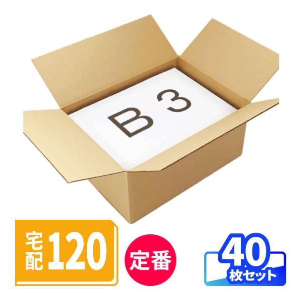 商品ID：5357商品名：【宅配120サイズ】定番ダンボール箱(B3)内寸法(mm)：535×385×2403辺外寸合計：120cm厚み：C/F(4mm)紙質：K5重量：約659g≪B3サイズの用紙やファイルが入る宅配120サイズ対応箱≫■...